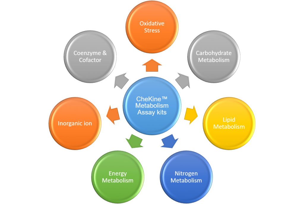 Metabolism Assay kits, We have all the kinds you need！ - Abbkine ...
