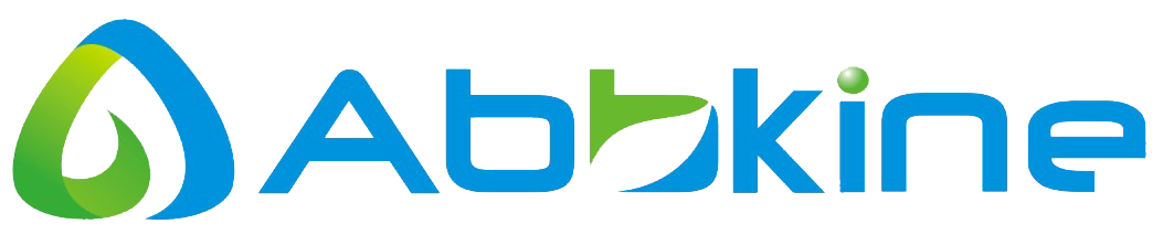 GAPDH, Tubulin, Actin, how should I choose? - Abbkine – Antibodies, proteins, biochemicals ...