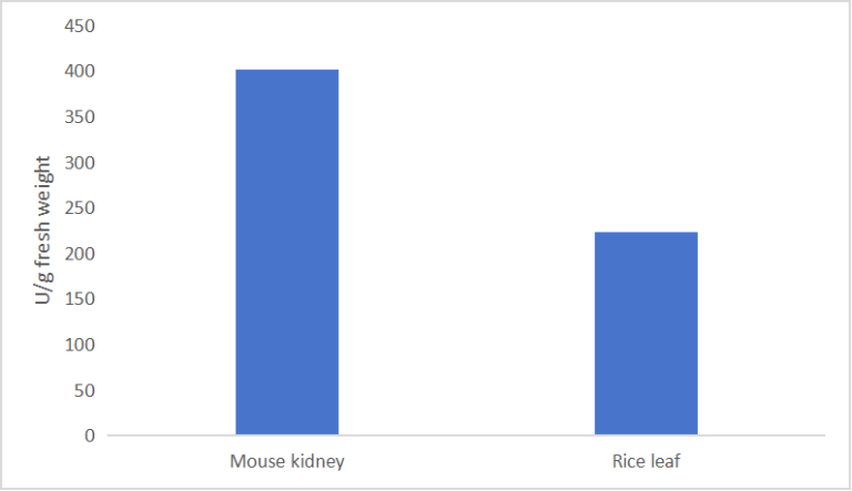 CheKine™ Micro Proline Dehydrogenase (ProDH) Activity Assay Kit ...