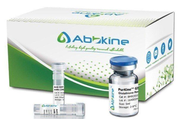 PurKine™ MBP-Tag Dextrin Resin (Abbkine BMR2020): Confronting the Pain ...